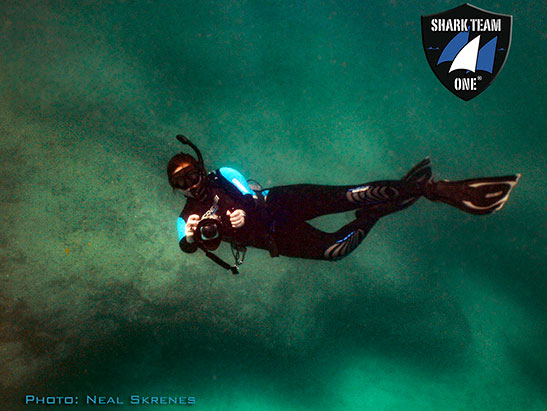 Shark Team One – Rheos